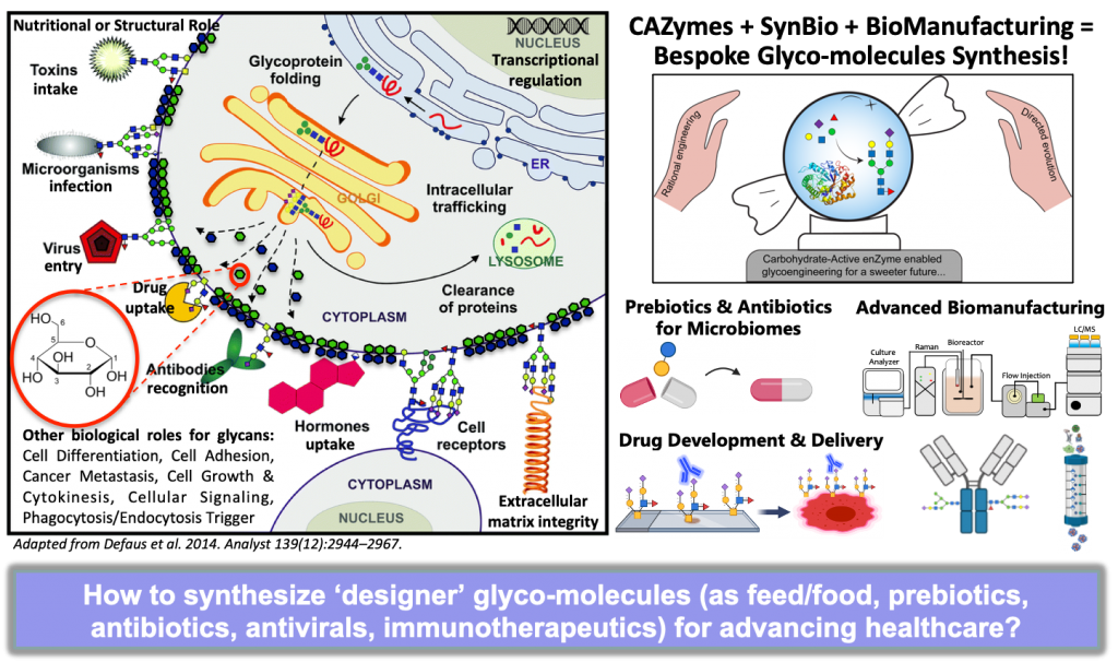 Accessible Healthcare – Chundawat Research Group